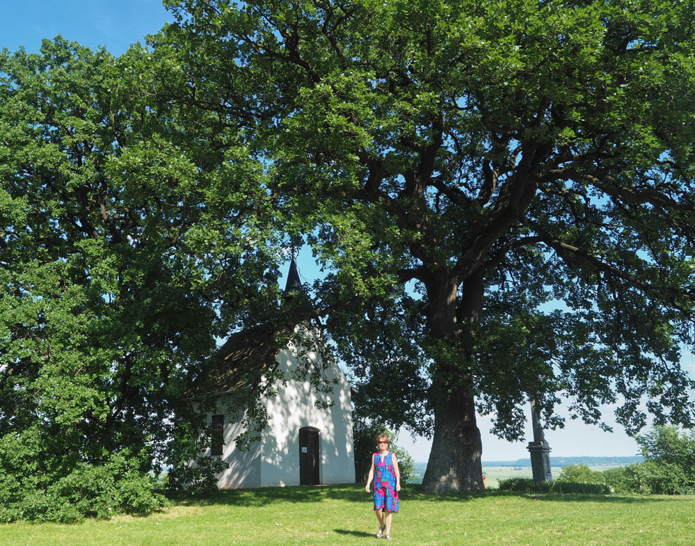 Tolna megye rejtett kincsei: 10 érdekes hely, amit látnod kell - Startlap Utazás
