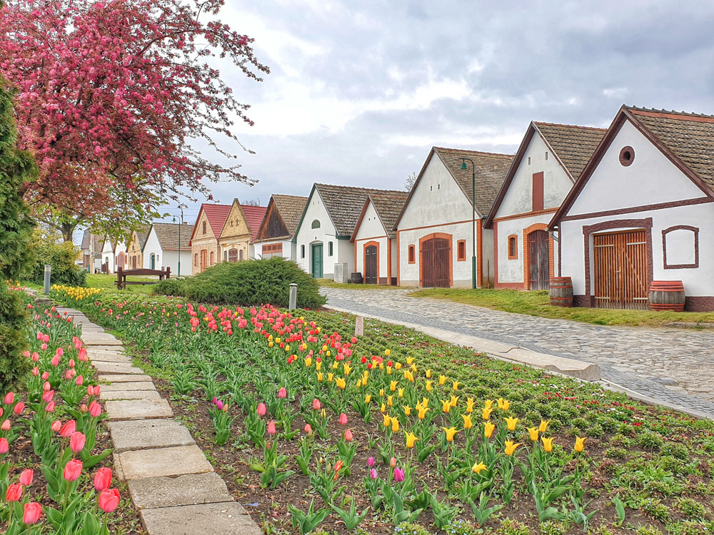 Tolna megye rejtett kincsei: 10 érdekes hely, amit látnod kell - Startlap Utazás