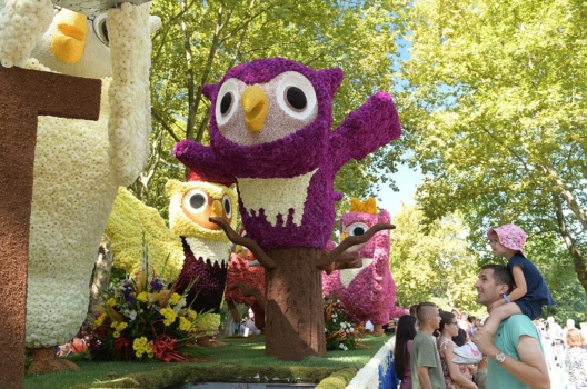 Első fotók a debreceni virágkarneválról - Startlap Utazás