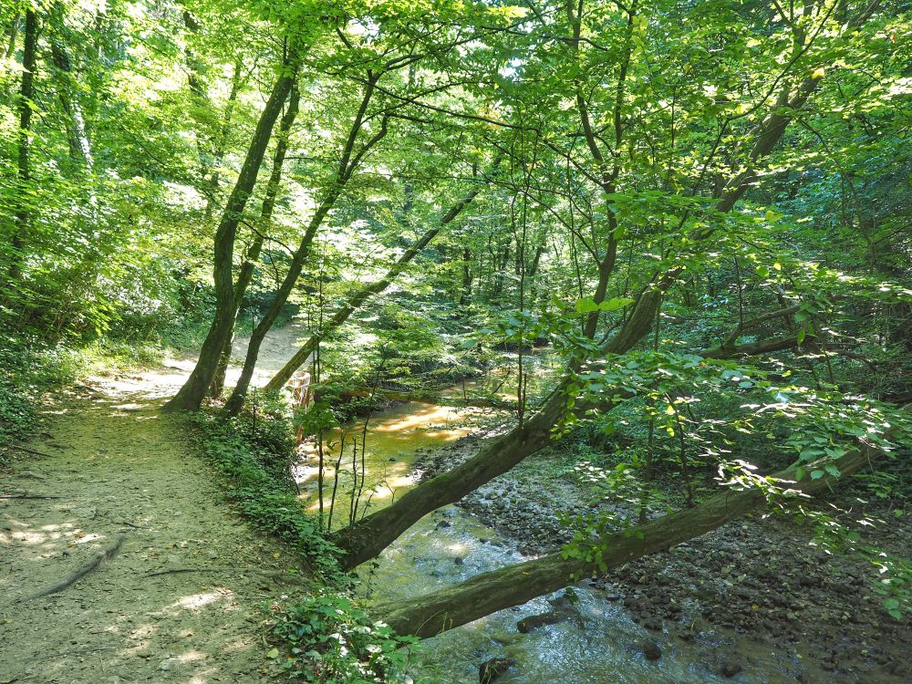 Fejér megye rejtett kincsei: 10 hely, amit látnod kell - Startlap Utazás