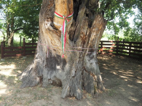 Szabolcs-Szatmár-Bereg megye rejtett kincsei: 10 hely, amit látnod kell - Startlap Utazás