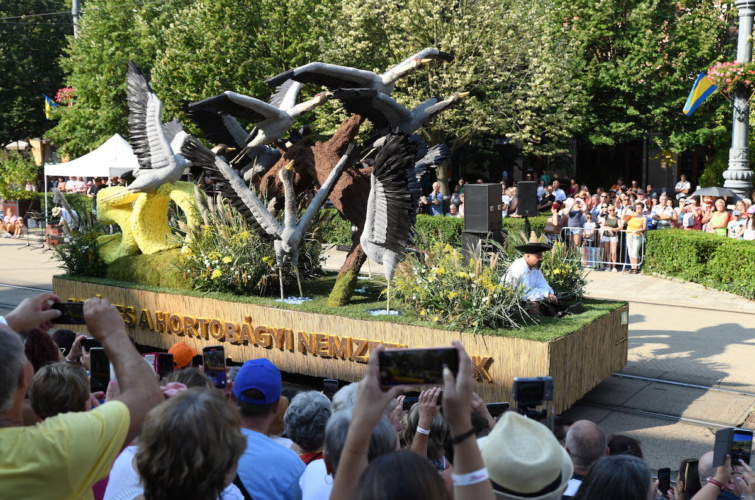 Íme a debreceni virágkarnevál lenyűgöző alkotásai | Startlap Utazás