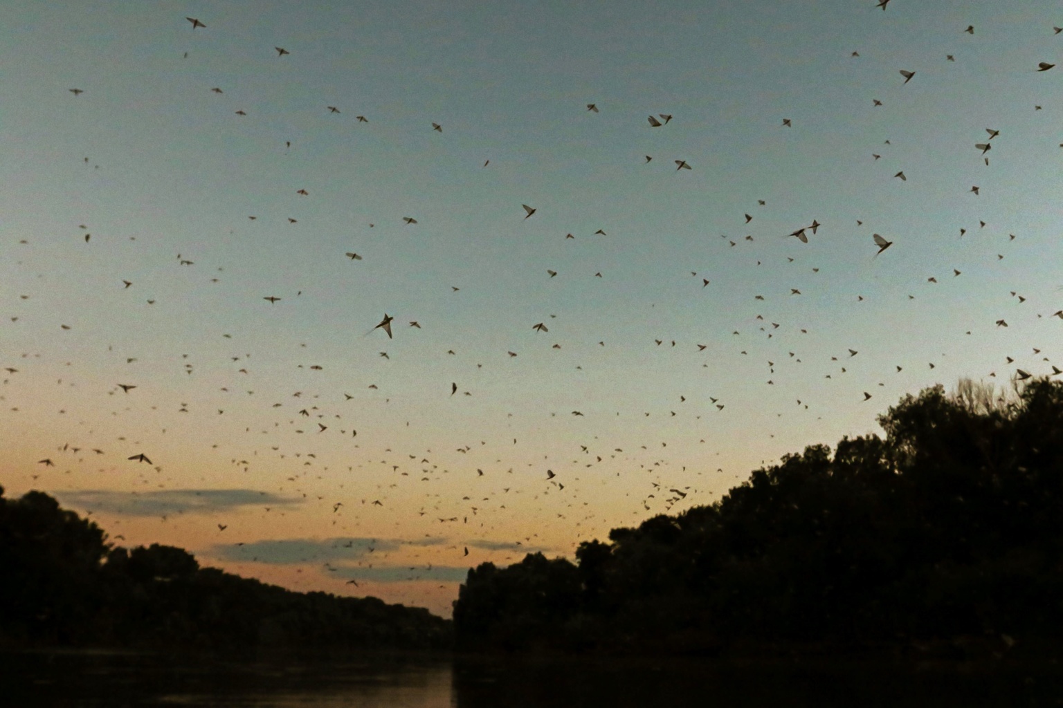 Térképen, hol csodálható meg a tiszavirágzás - Startlap Utazás