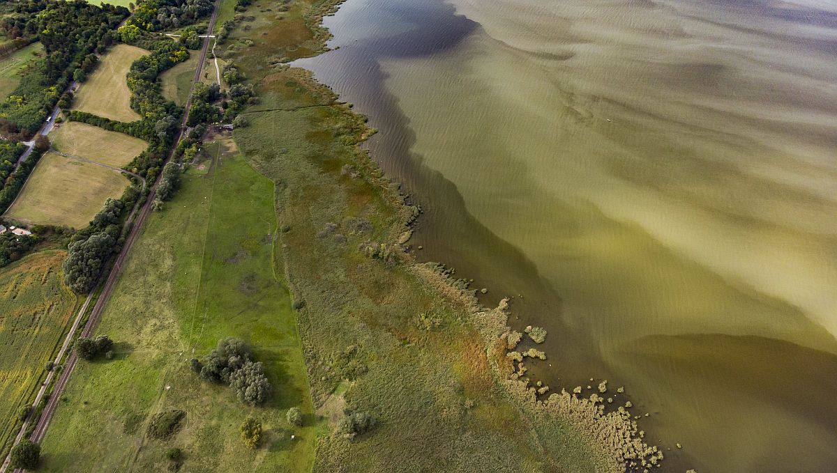 Fonalas cianobaktérium jelent meg a Balatonban - Startlap Utazás