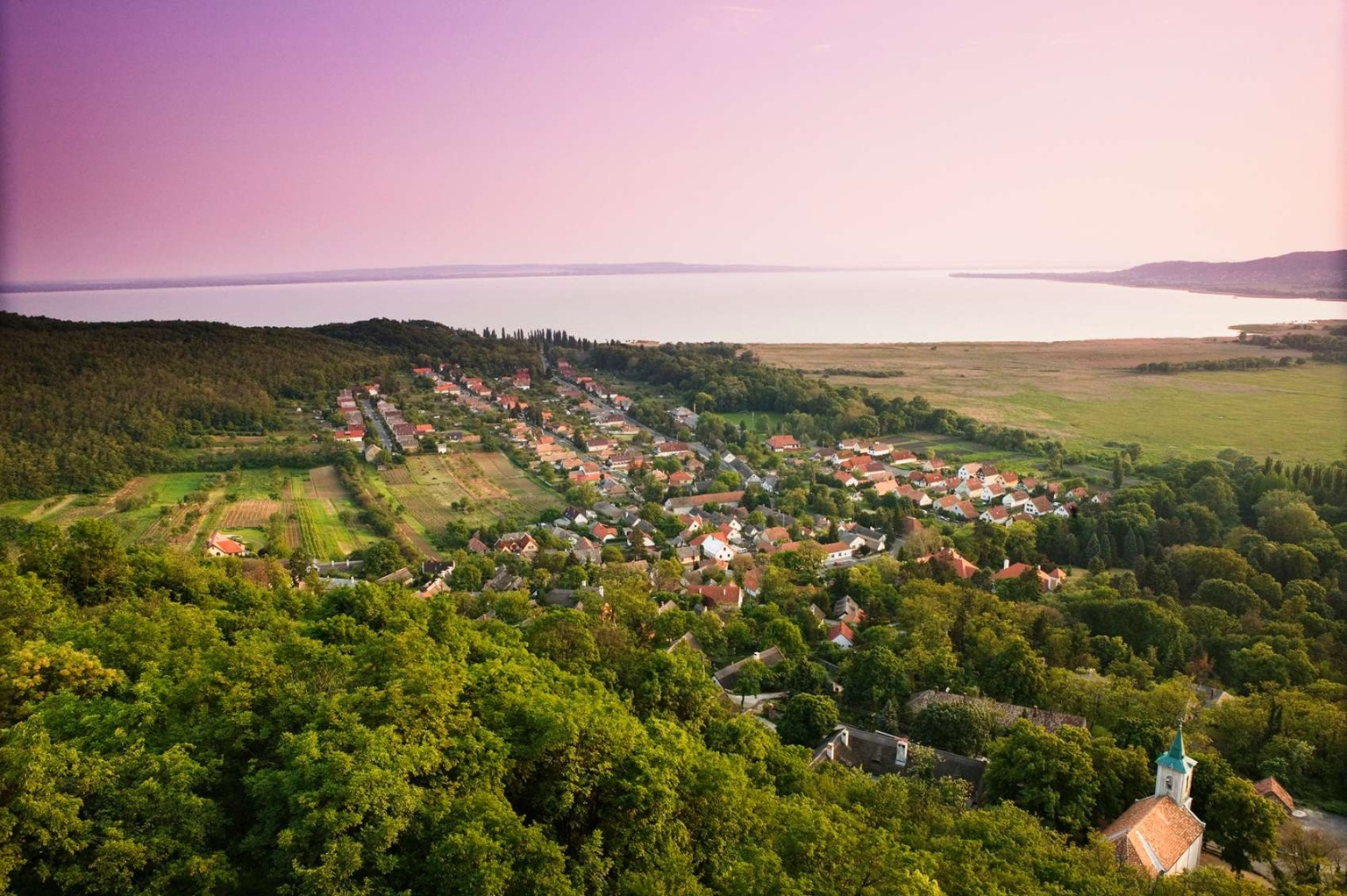 Videón, ahogy delfinként ugrándozik egy őz a Balatonban - Startlap Utazás