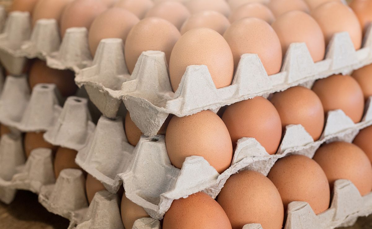 Árzuhanás a boltokban: ennyibe kerül most a tojás – a legjobb akciók a ...